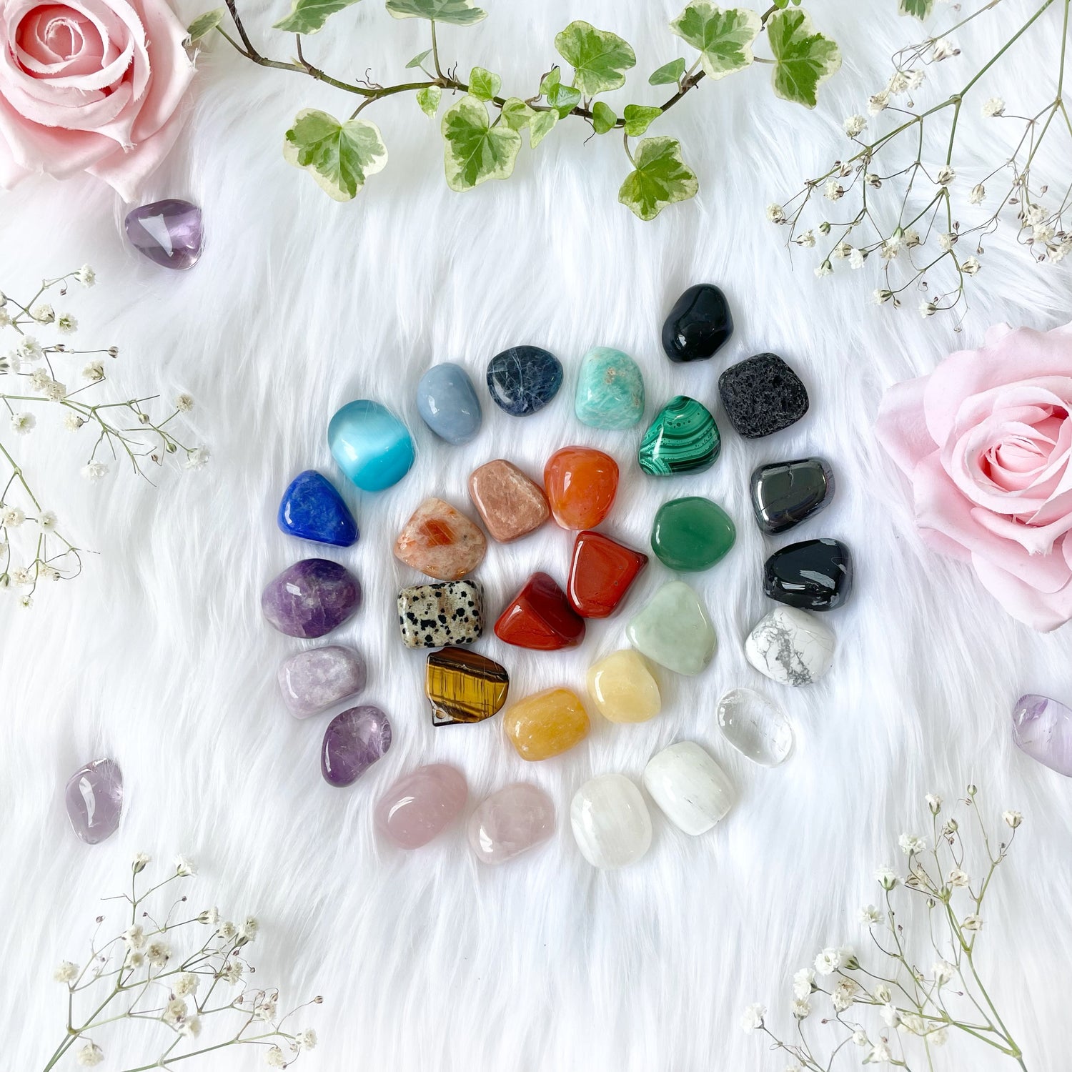 Sunshine & Divine – Sunshine & Divine