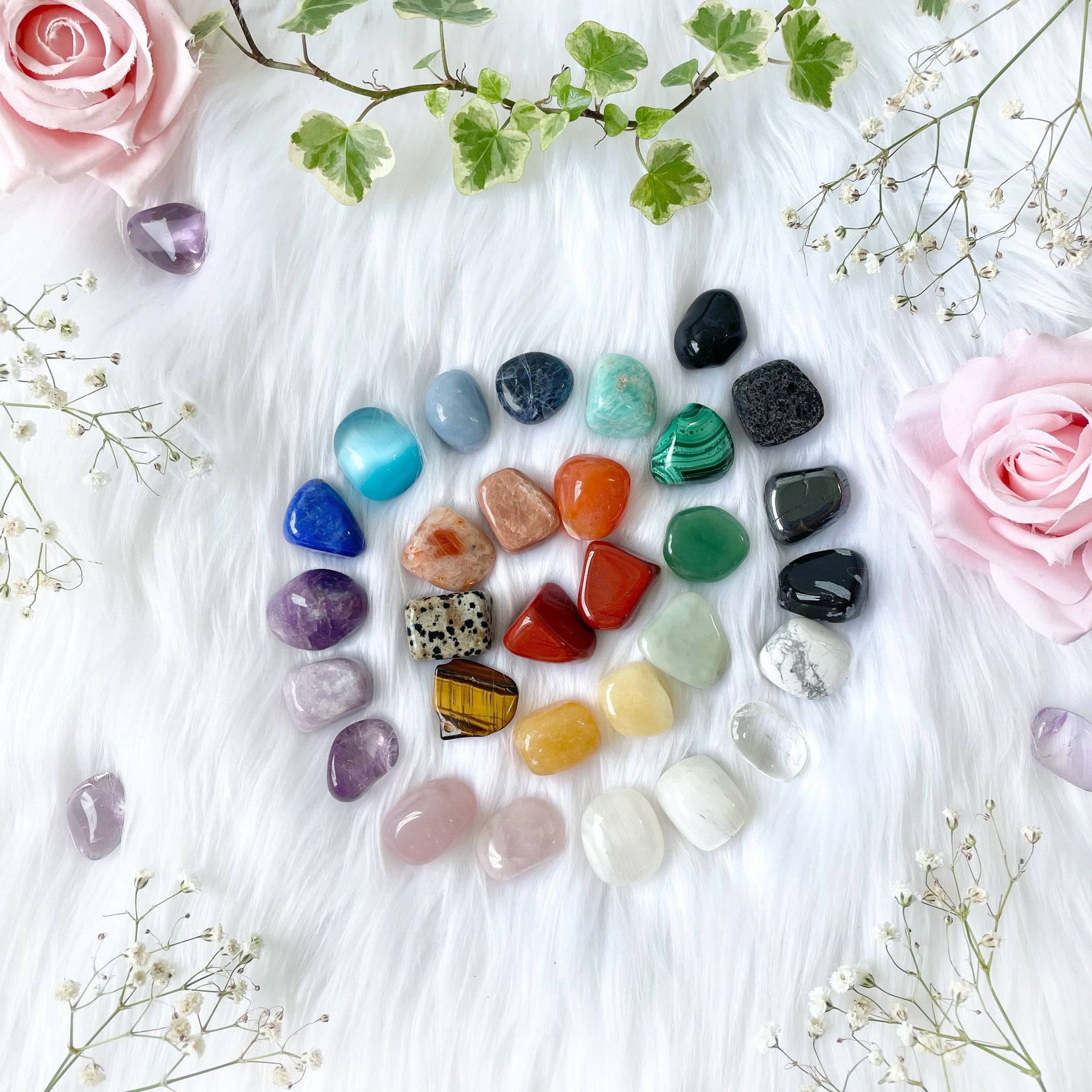 Sunshine & Divine – Sunshine & Divine