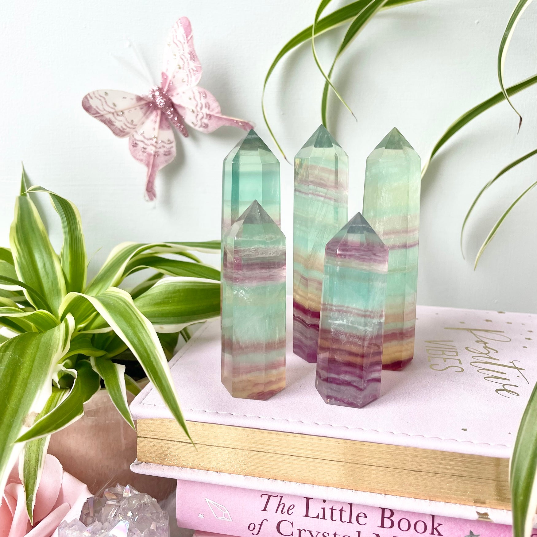 Sunshine & Divine – Sunshine & Divine