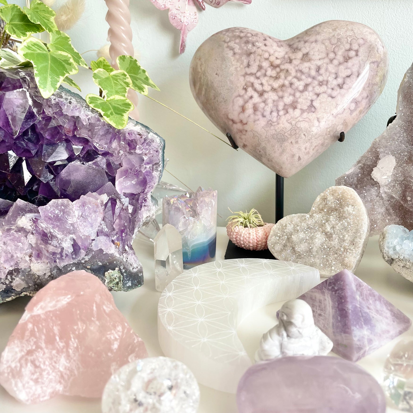 Sunshine & Divine – Sunshine & Divine